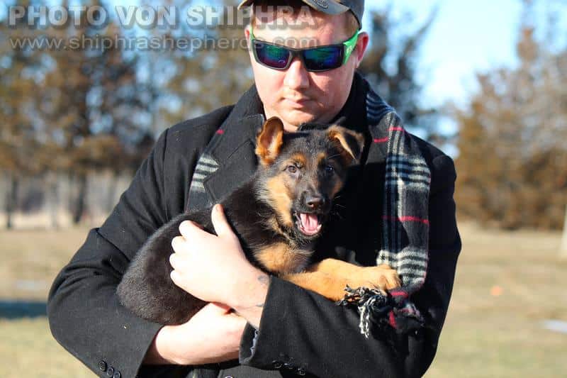 neely fynn male – Shiphra Shepherds
